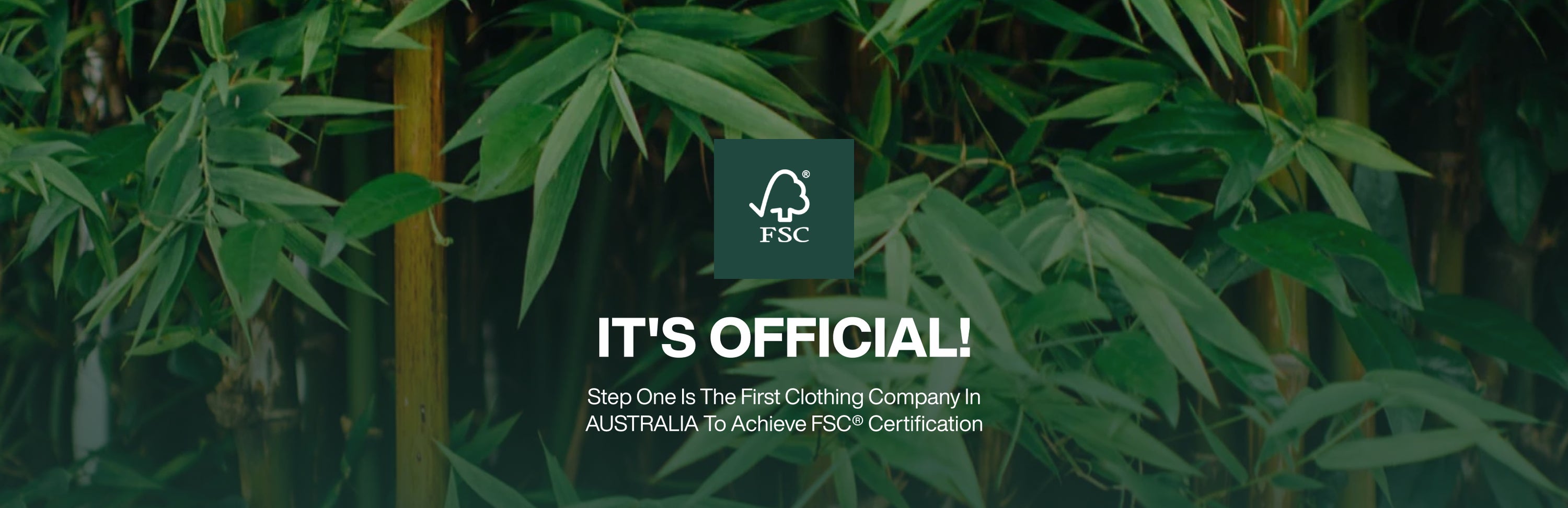 Step One | Organic Bamboo viscose | Underwear Australia
